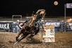 Tejas Rodeo Tickets - Bulverde, TX | Tripster