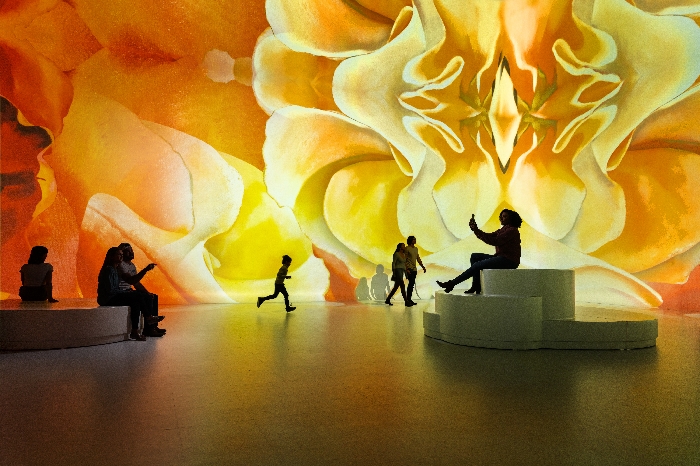 Illuminarium Tickets - Atlanta, GA | Tripster